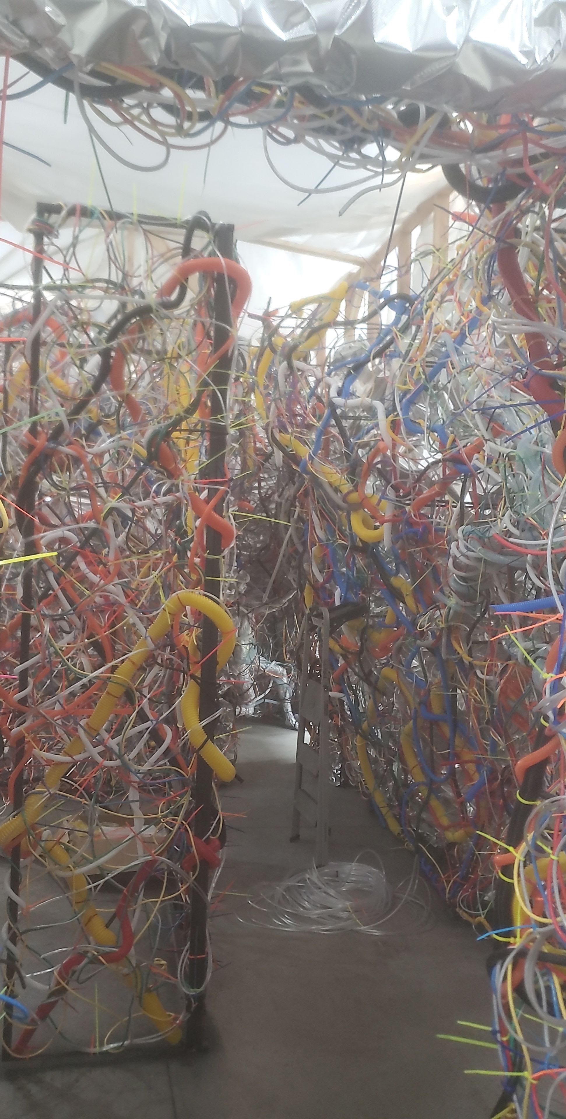 The Rat’s Nest – Mitchell Wolfgang Evans